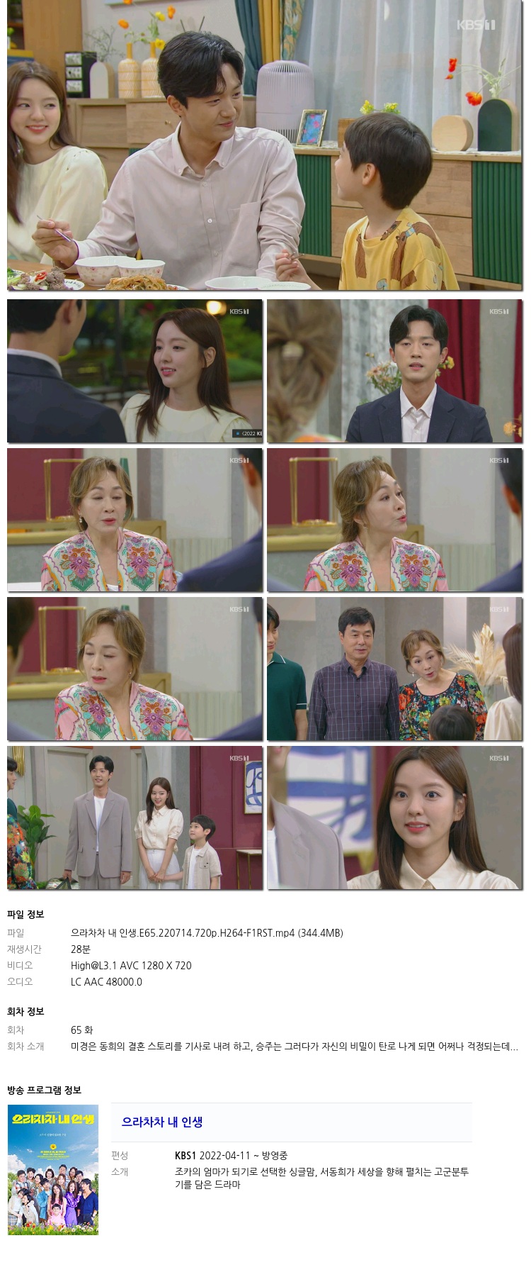 [KBS1] 으라차차 내 인생.E65.220714.720p.H264-F1RST 저장 - 파일썬 - 파일썬