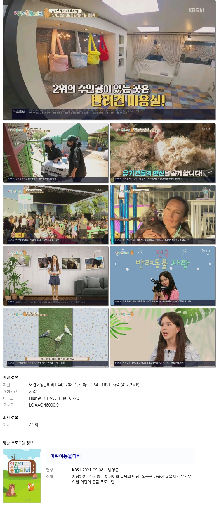 [KBS1] 어린이동물티비.E44.220831.720p.H264-F1RST 저장 - 파일썬