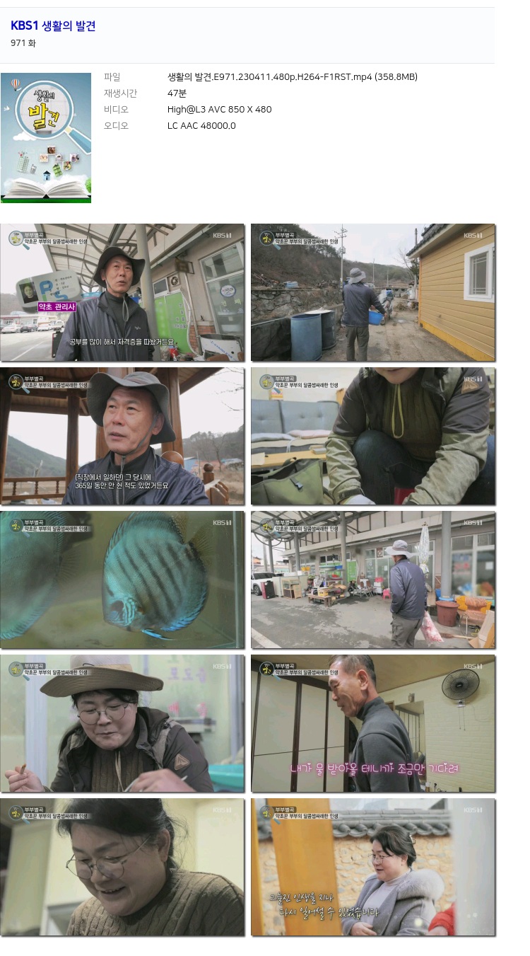 [KBS1] 생활의 발견.E971.230411.480p.H264-F1RST 저장 - 파일썬