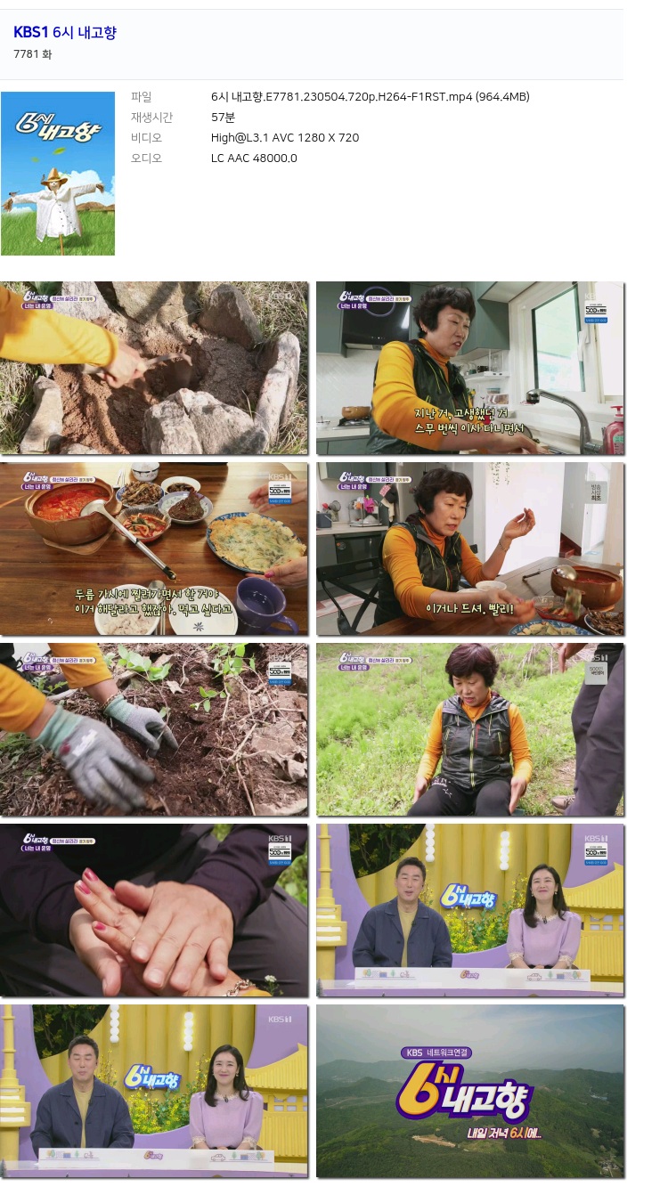 [KBS1] 6시 내고향.E7781.230504.720p.H264-F1RST 저장 - 파일썬 - 파일썬