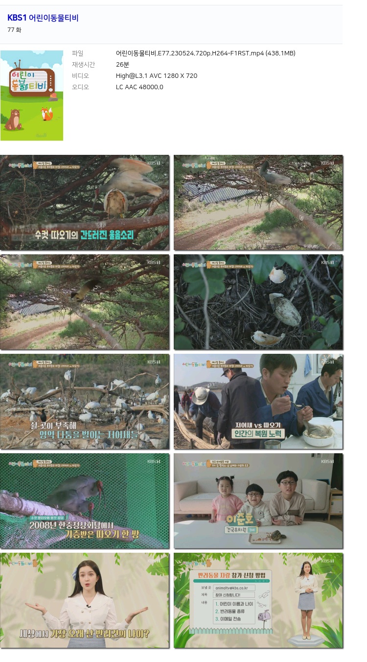 [KBS1] 어린이동물티비.E77.230524.720p.H264-F1RST 저장 - 파일썬