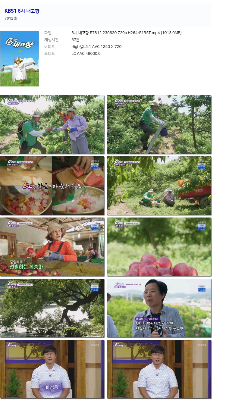 [KBS1] 6시 내고향.E7812.230620.720p.H264-F1RST 저장 - 파일썬 - 파일썬