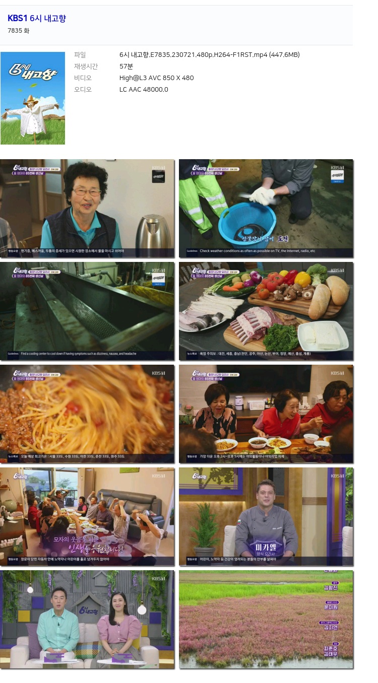 [KBS1] 6시 내고향.E7835.230721.480p.H264-F1RST 저장 - 파일썬