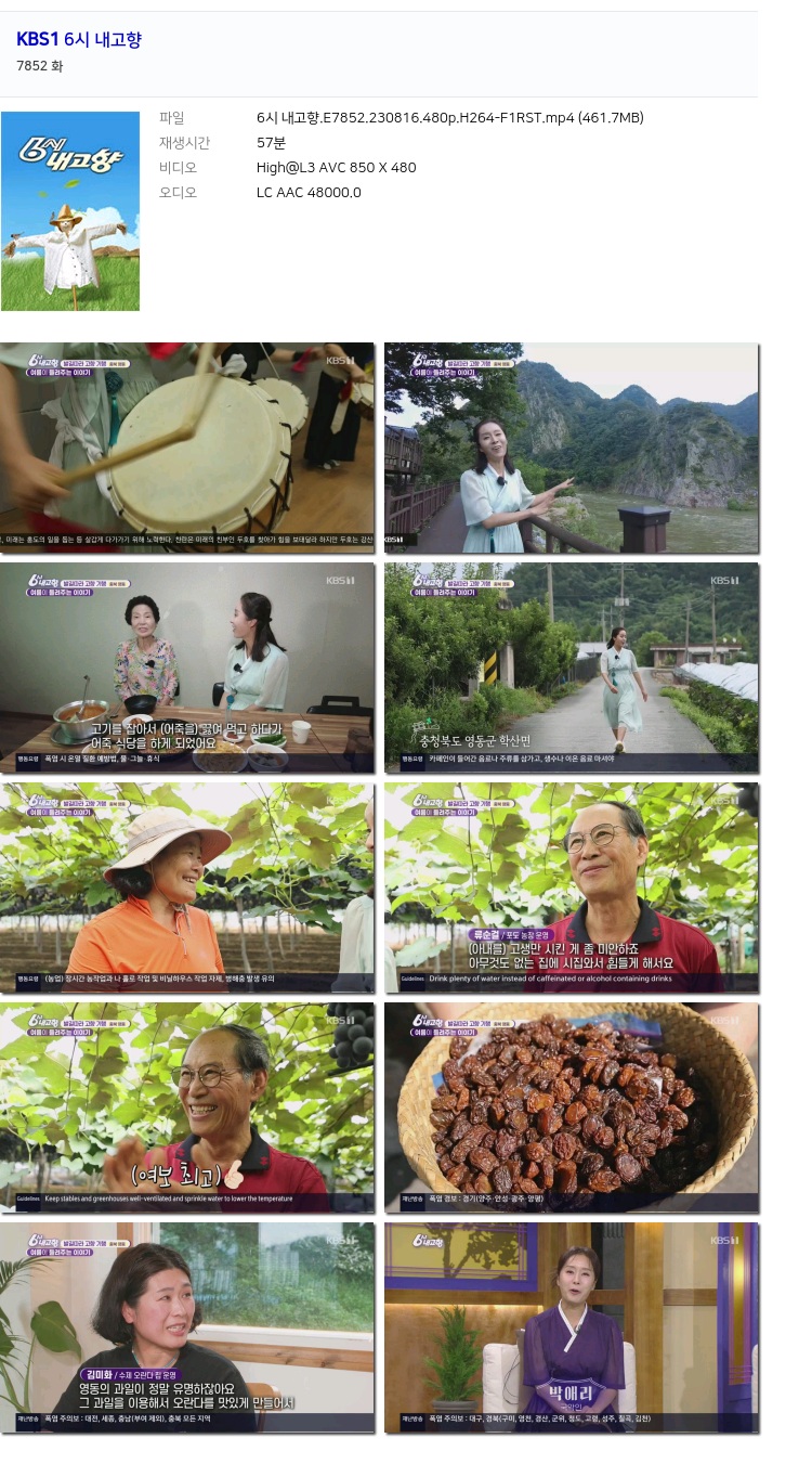 [KBS1] 6시 내고향.E7852.230816.480p.H264-F1RST 저장 - 파일썬