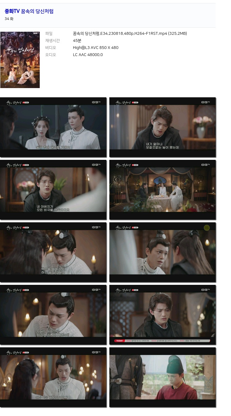[중화TV] 꿈속의 당신처럼.E34.230818.480p.H264-F1RST 저장 - 파일썬