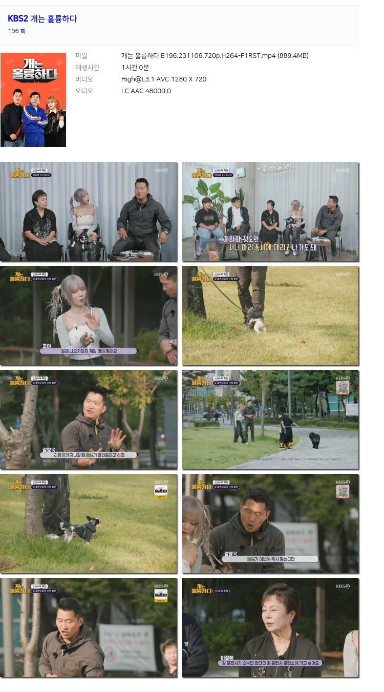 [KBS2] 개는 훌륭하다.E196.231106.720p.H264-F1RST 저장 - 파일썬