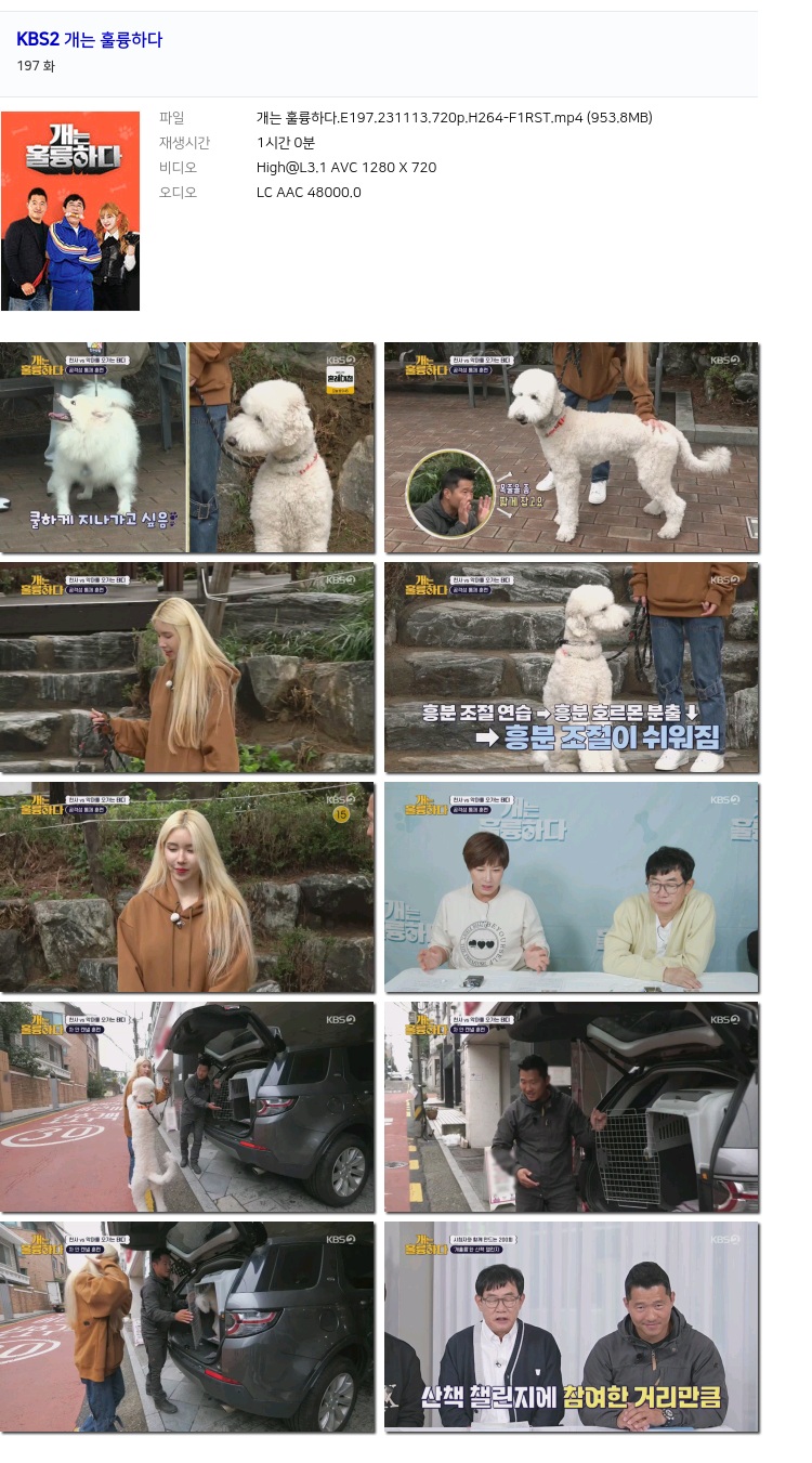 [KBS2] 개는 훌륭하다.E197.231113.720p.H264-F1RST 저장 - 파일썬