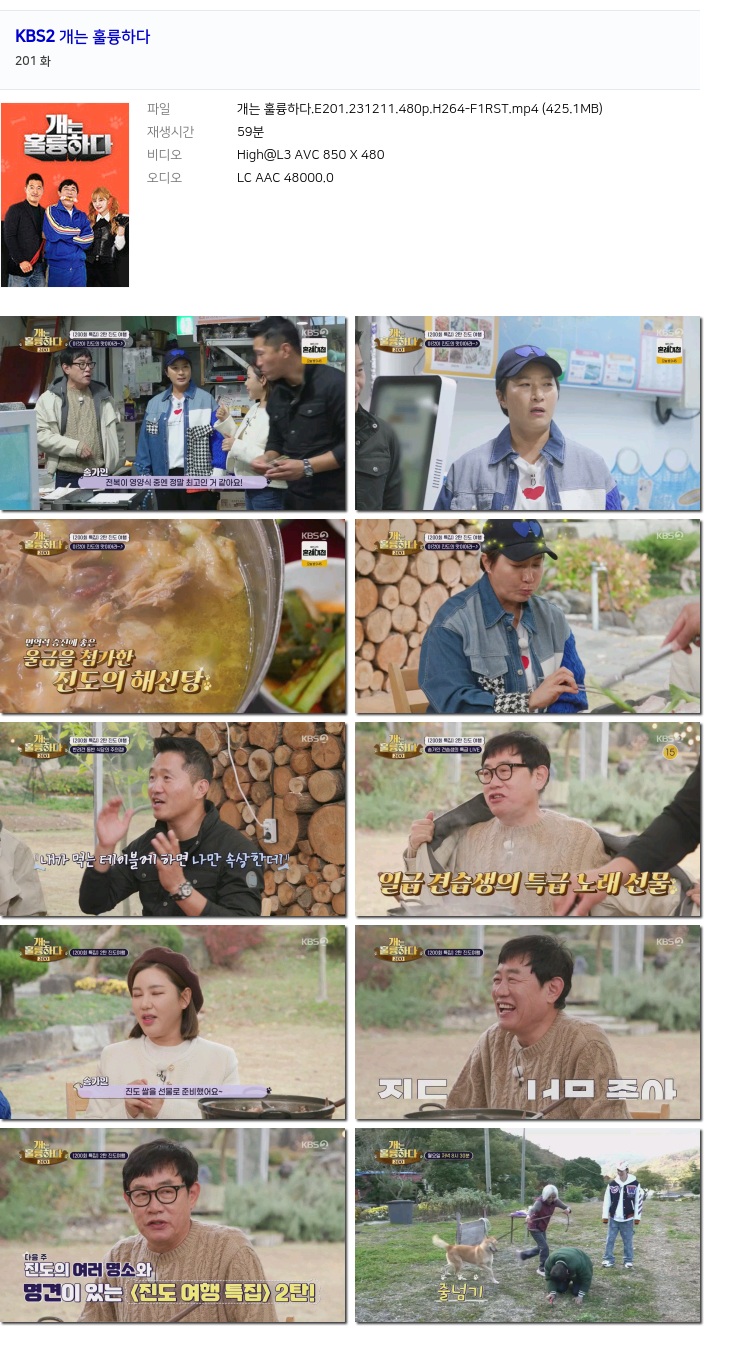 [KBS2] 개는 훌륭하다.E201.231211.480p.H264-F1RST 저장 - 파일썬