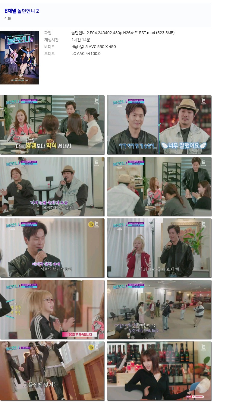 [E채널] 놀던언니 2.E04.240402.480p.H264-F1RST 저장 - 파일썬