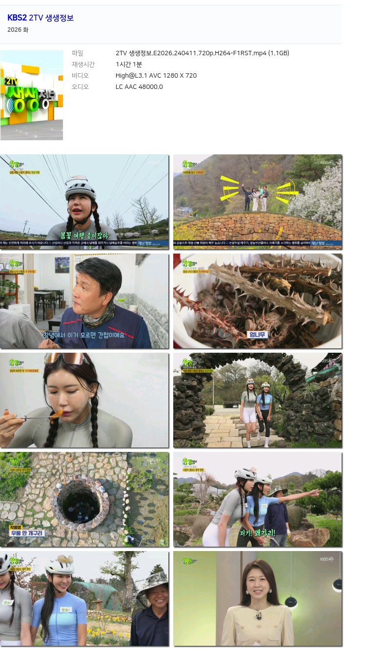 [KBS2] 2TV 생생정보.E2026.240411.720p.H264-F1RST 저장 - 파일썬