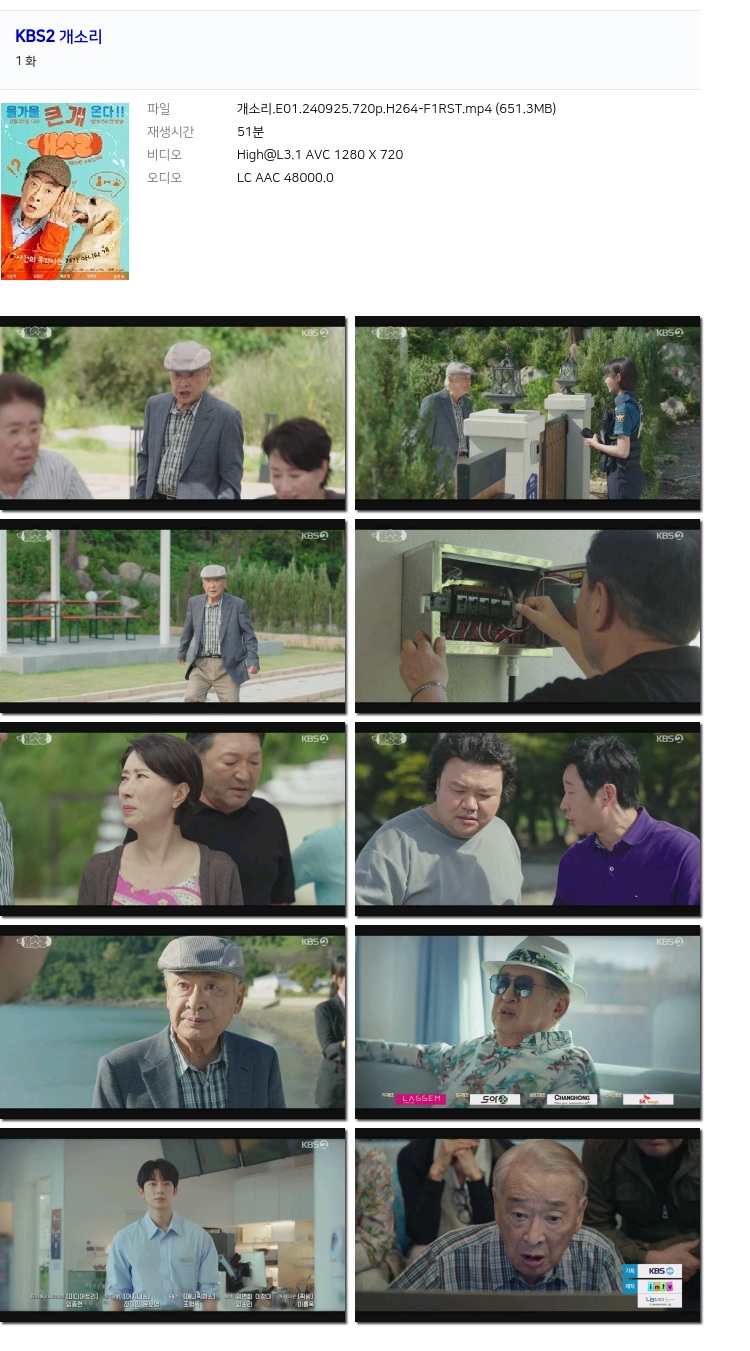 [KBS2] 개소리.E01.240925.720p.H264-F1RST 저장 - 파일썬